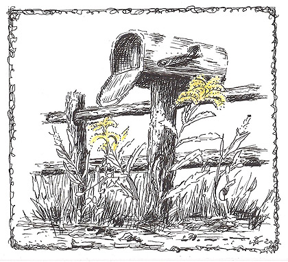Flying Pony Studios: Country Scene in Pen & Ink