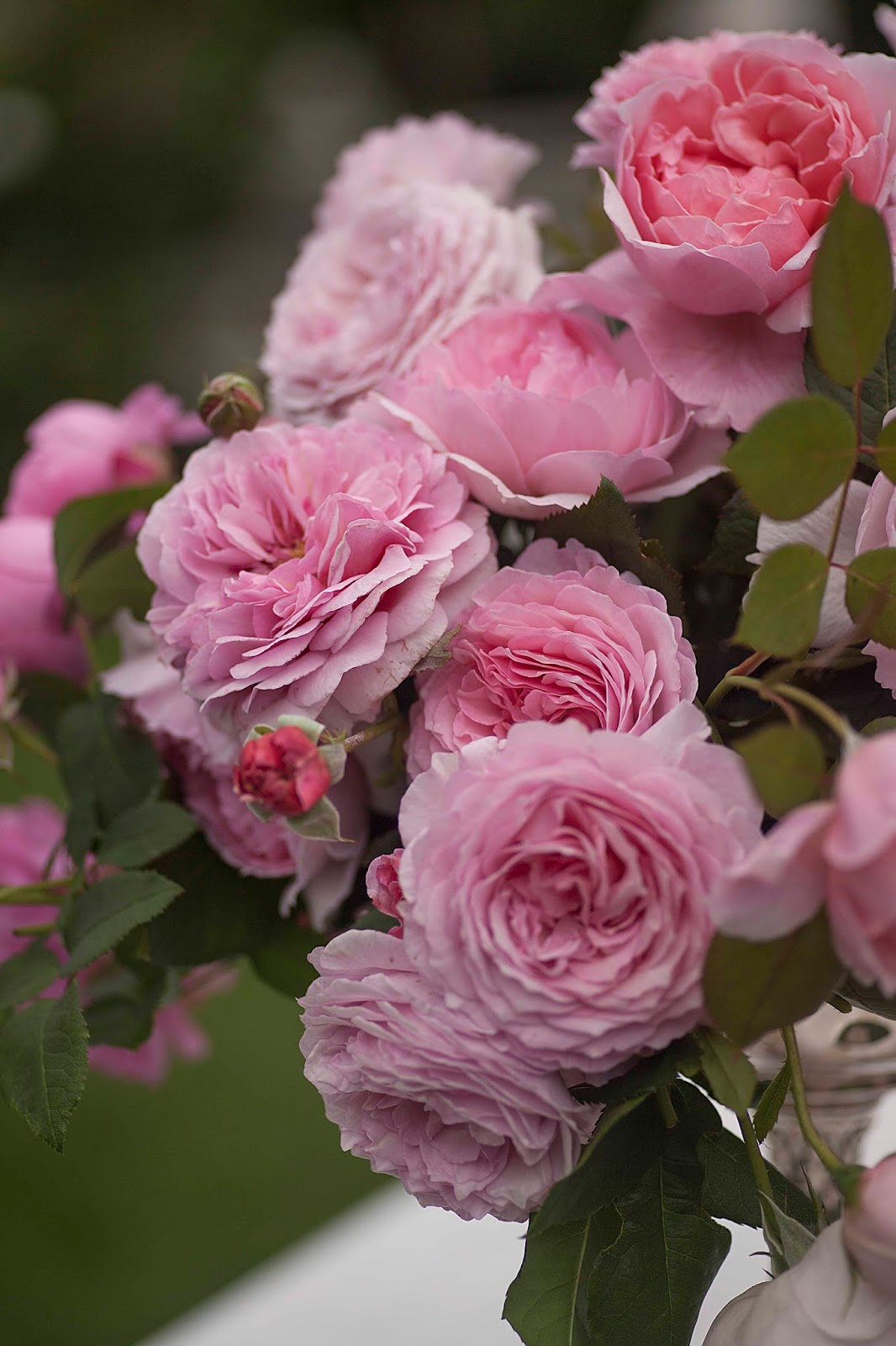 ROSE GARDEN Malevik: fint att binda buketter ~ Lovely Bouquet