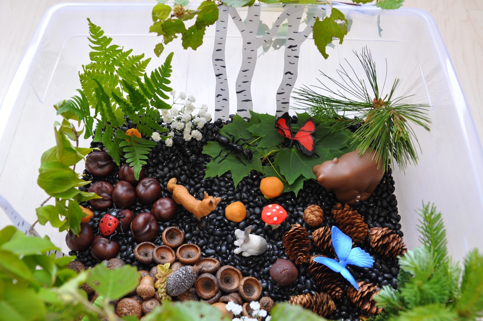 Forest+sensory+bin+3.JPG (1600×1062) | Sensory bins, Nursery activities ...