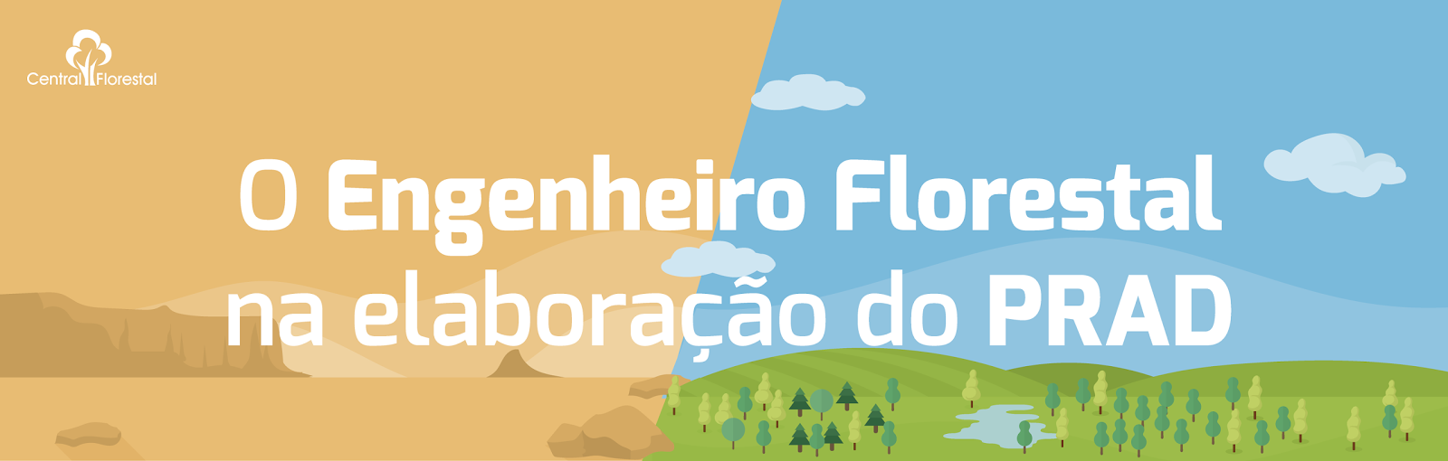 O Engenheiro Florestal na elaboração do PRAD