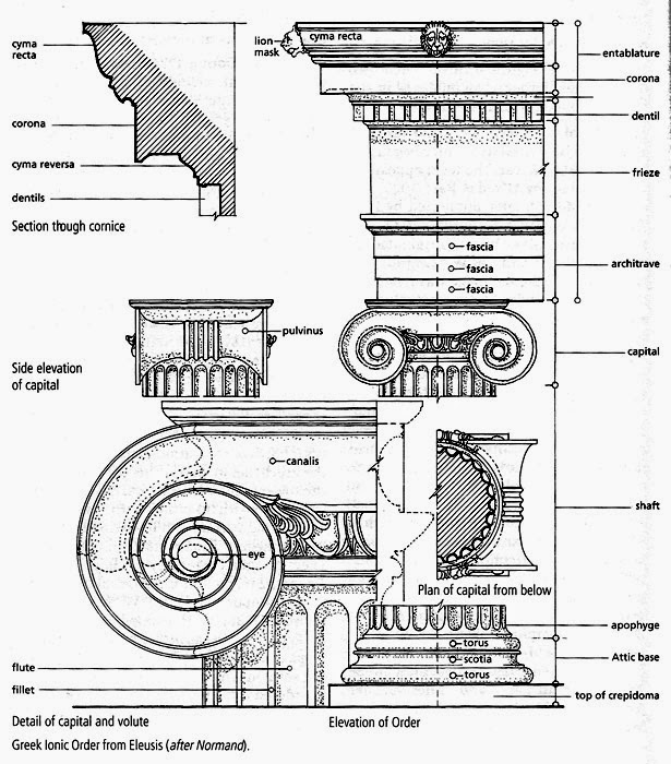Hayzkul Lyf: Doric, Ionic, Corinthian Order
