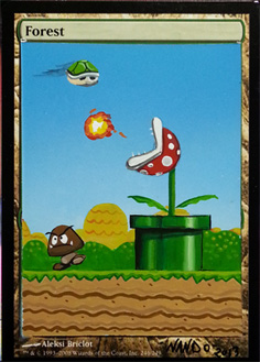 Fernando Delgado Art: MTG Altered card: kame house island- Mario forest