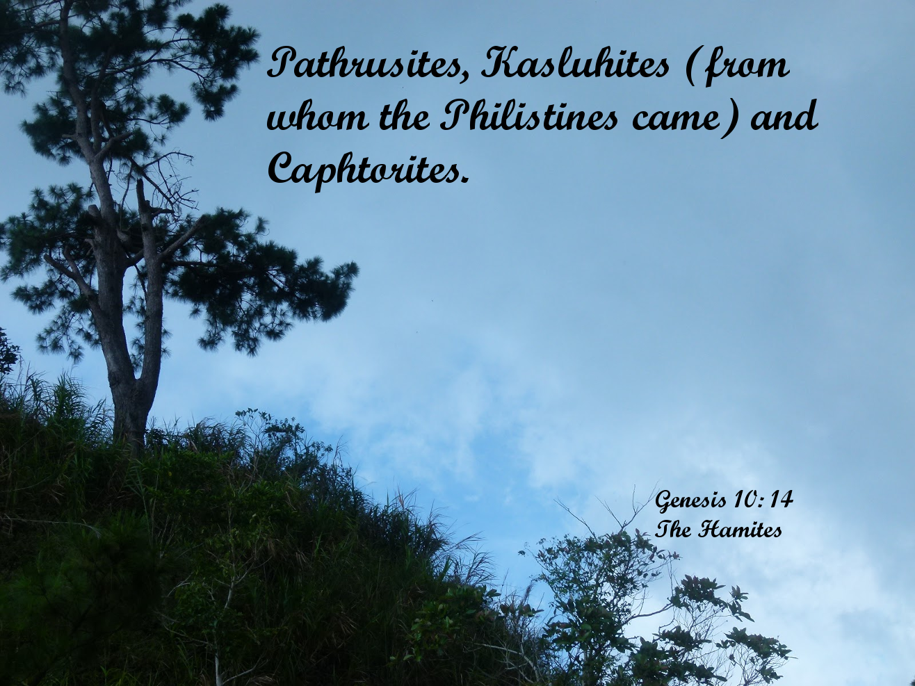 Genesis 10:14 The Hamites