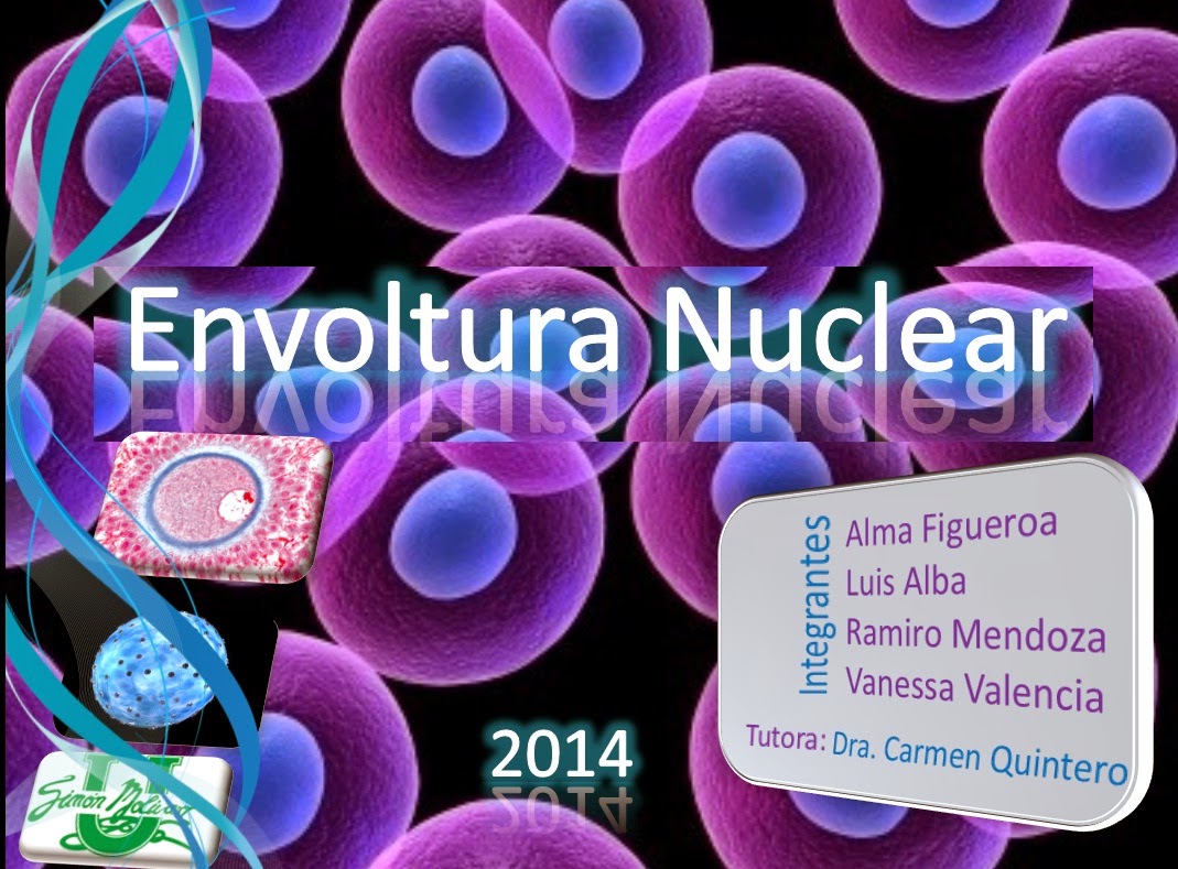 Envoltura Nuclear