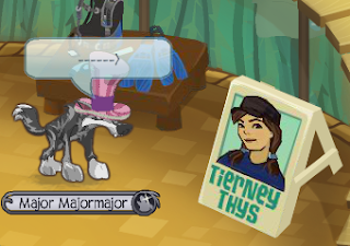 Animal Jam Party: TIde Pool