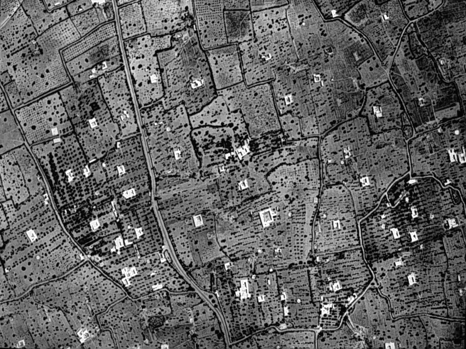 Jerba: an Island in Time