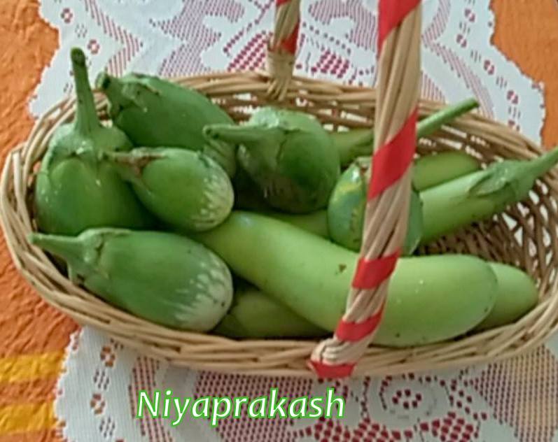 Niya's World: Baingan (Brinjal / Egg Plant / Vazhuthananga) Masala Curry