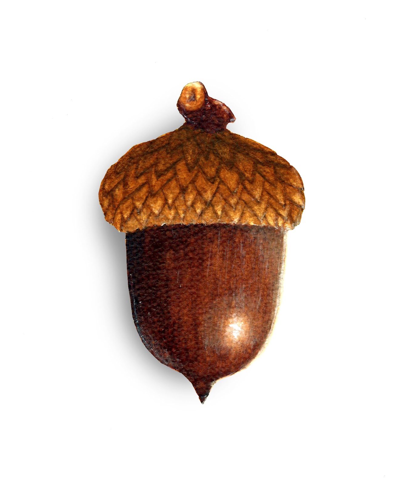 ItsaKelly Illustrations: 2017