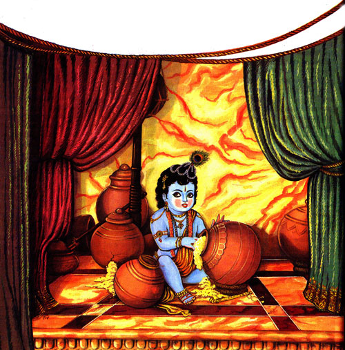 Beautiful story of Butterthief Maya Krishna