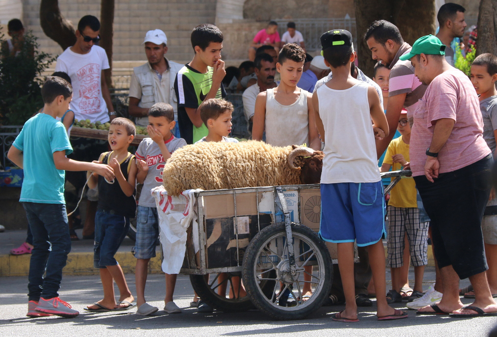 THE VIEW FROM FEZ: Eid Is Coming - And So Are The Sheep