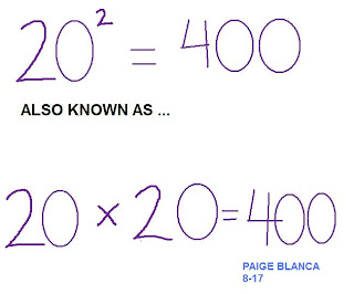 817 Math Blog (2011): Paige's Scribepost