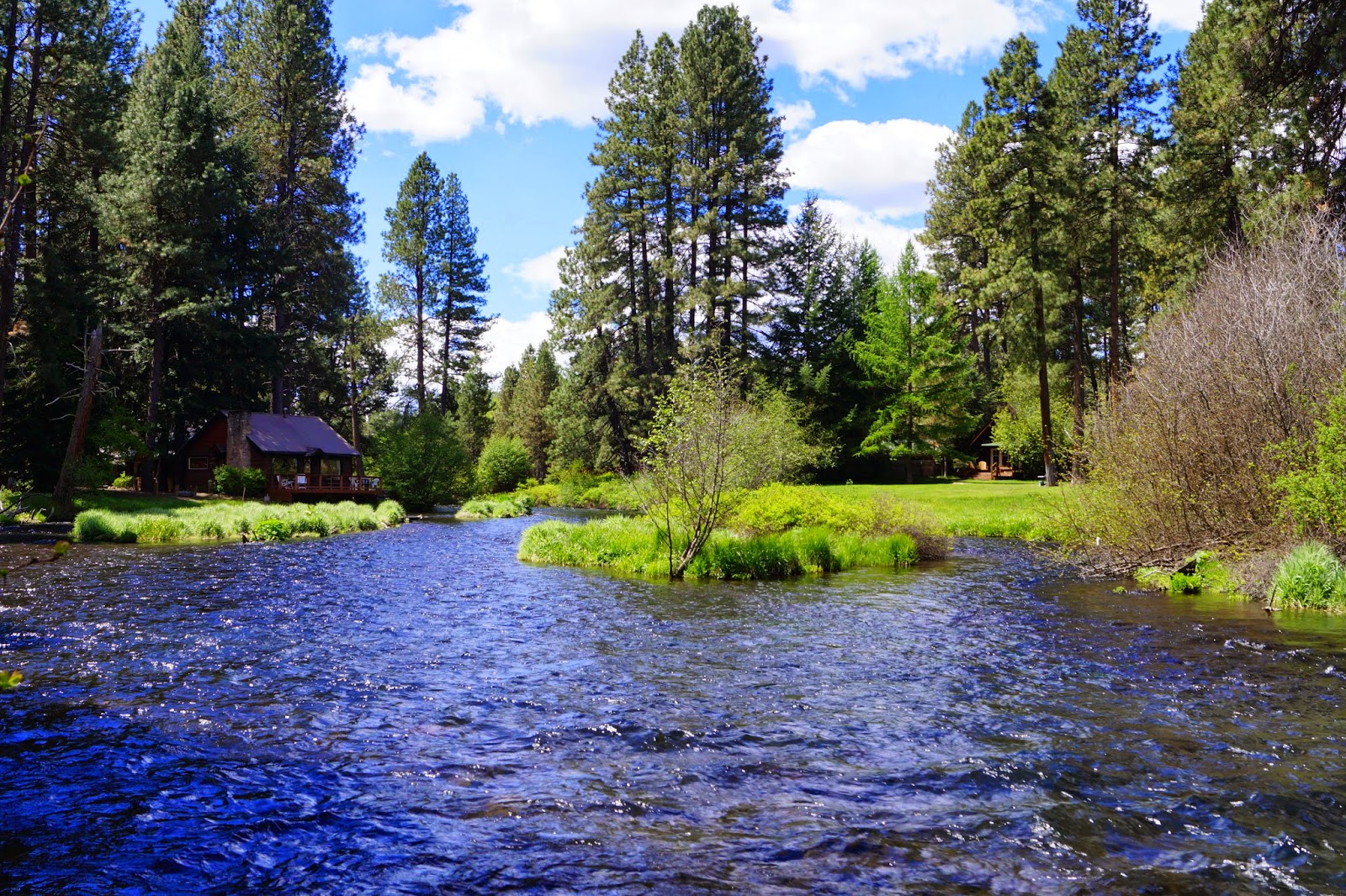 Dancing 'Cross the Country: Hiking Along the Metolius River: Camp ...
