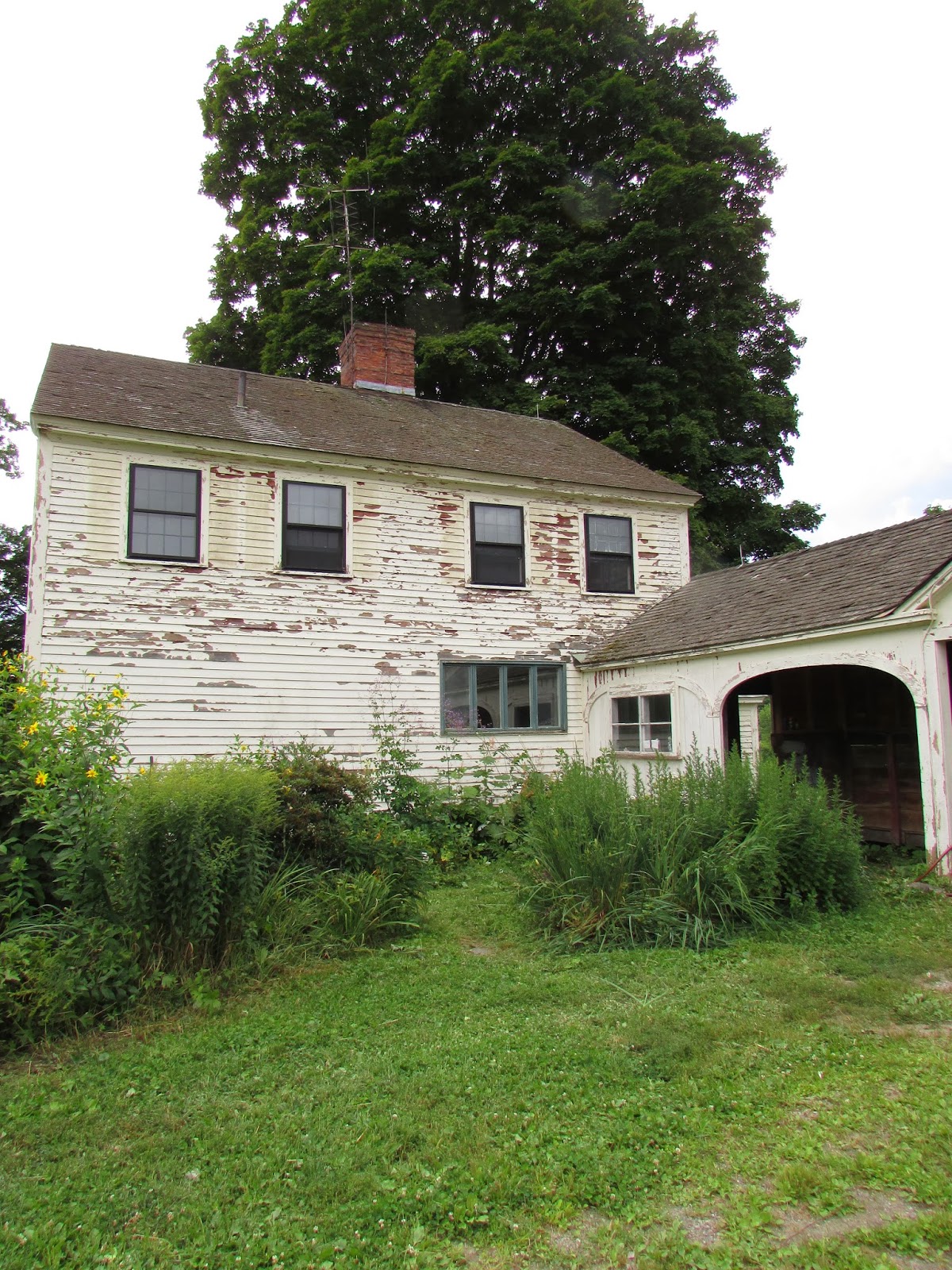 Anemone Times: The Bunker Farm