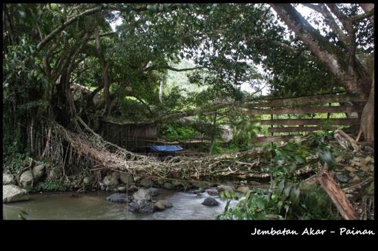 Jembatan Akar, la racine d'arbre-pont d'Indonésie - L'assurance d'une ...