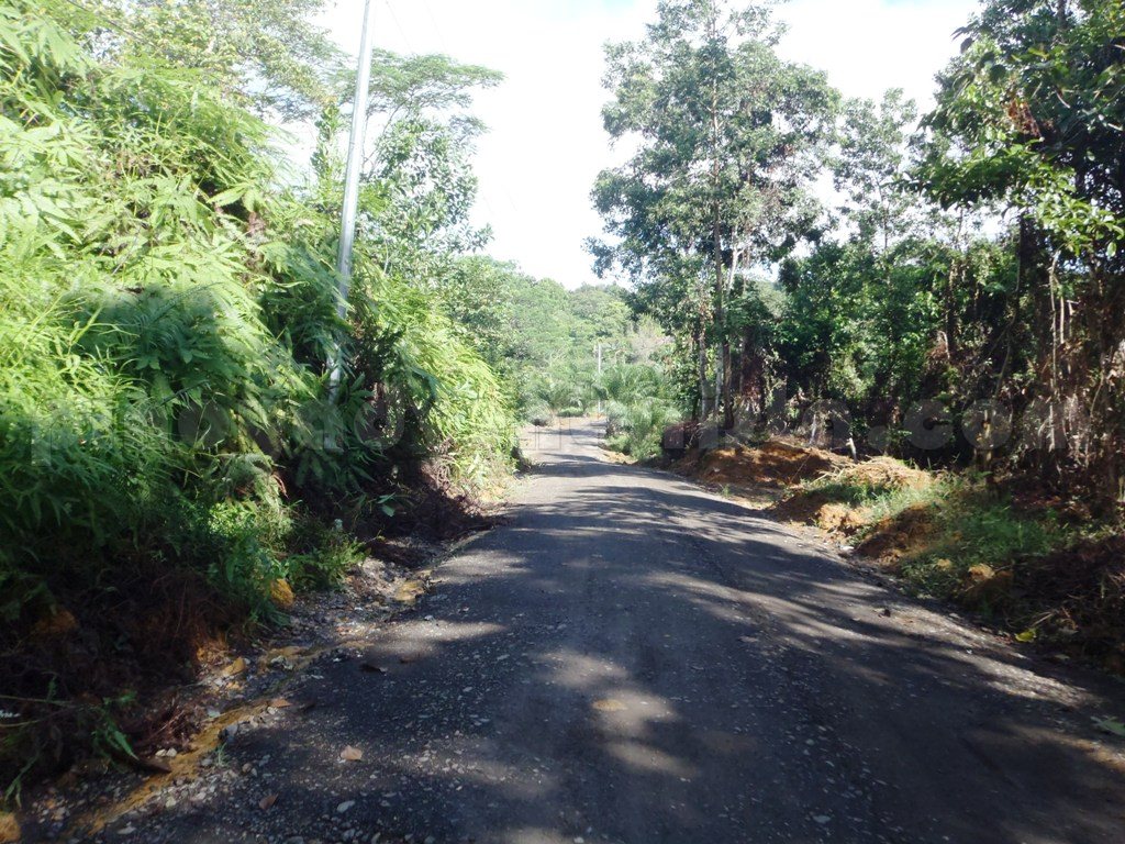 Agusan del Sur - En Route to Bunawan Ecopark and Wildlife Reservation ...