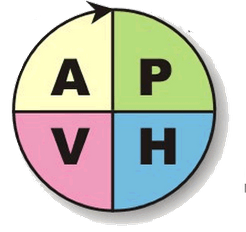 13:26 Conceptos Básicos de Calidad.