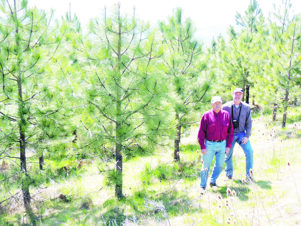 Clearwater Tribune: June 2013