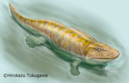 「Extinct Creatures」: イクチオステガ Ichthyostega