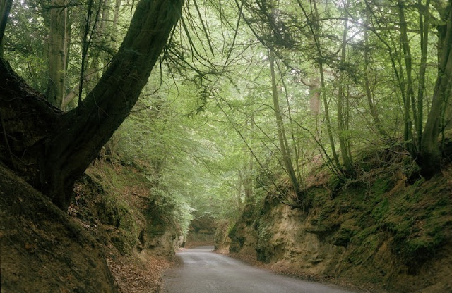 BGS Geoheritage – images from the collections: Sunken lanes in southern ...