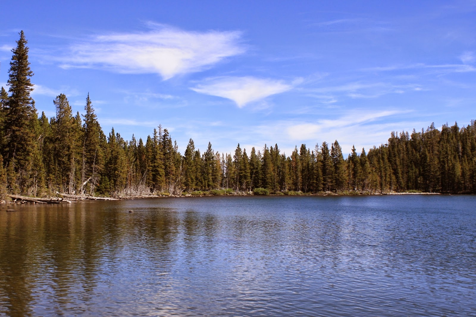 Living and Dyeing Under the Big Sky: North Picket Pin Lake