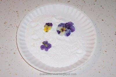 Survival and Preparedness on a Budget: How to Crystallize Flowers
