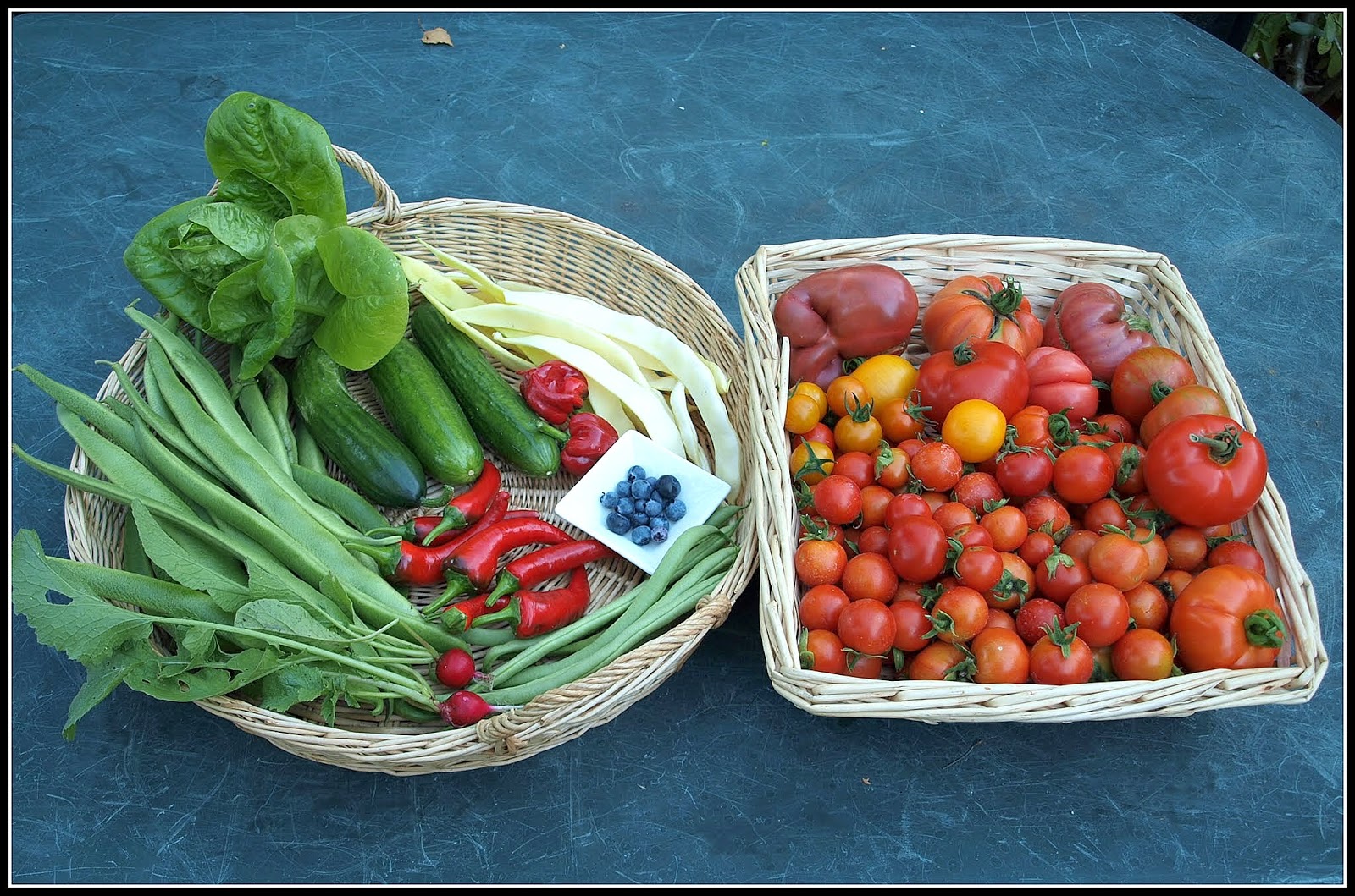 Mark's Veg Plot: Harvest Monday - 9th September 2013