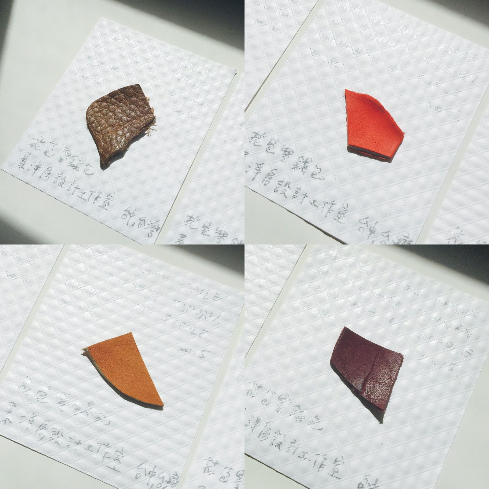 Supple House Blossom Coin Purse – Packaging Of The World