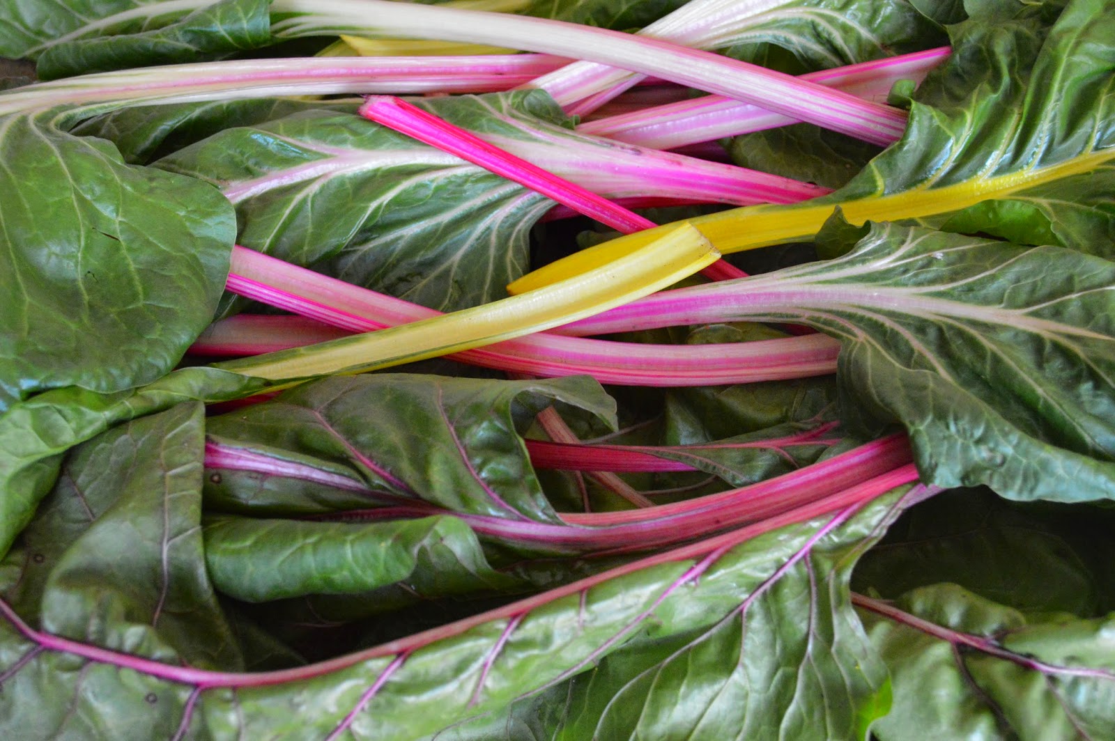 From Scratch: Rainbow Chard Party Spread