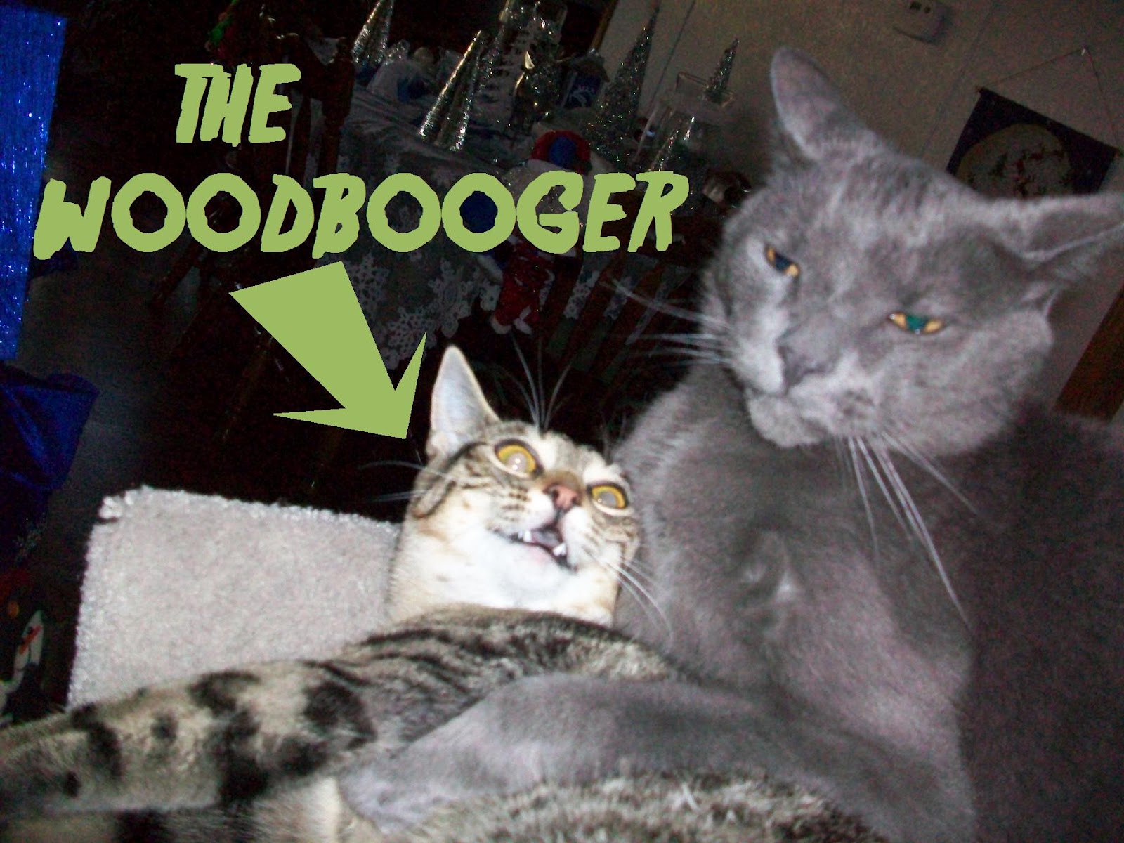 Something wicKED this way comes....: Beware the Wood Booger!