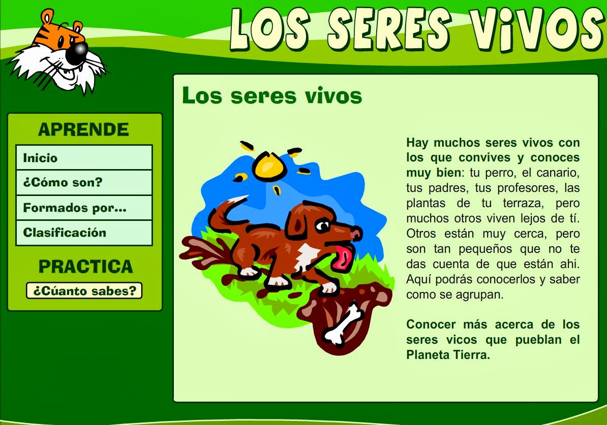 4th Class Blog: Science 5. Living things (Los seres vivos)