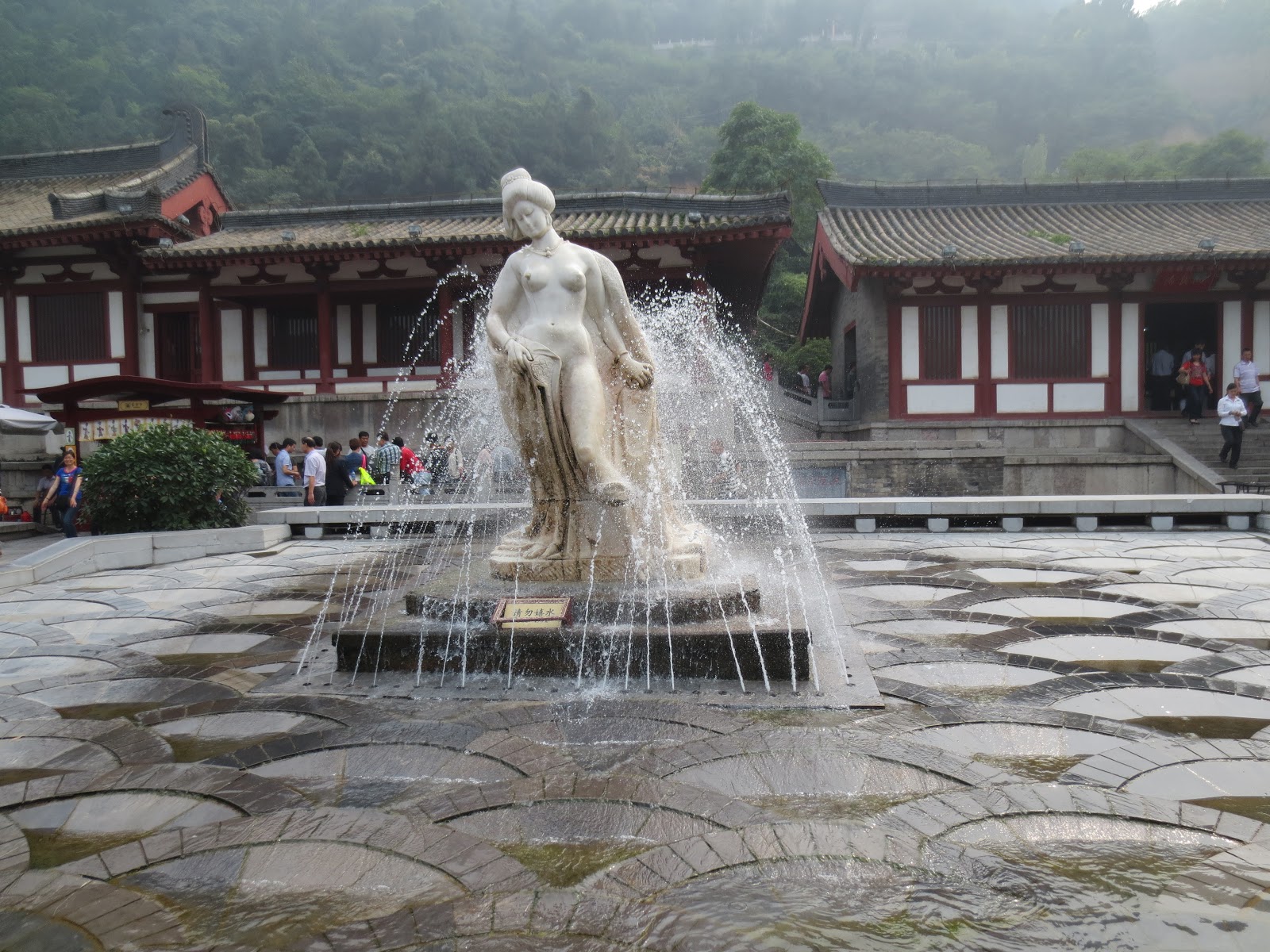 Orchid: October 2012