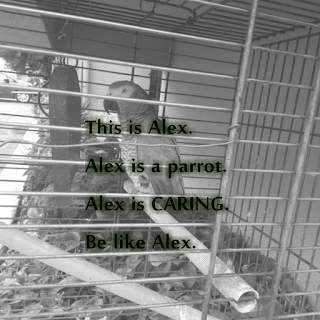 BE LIKE ALEX!