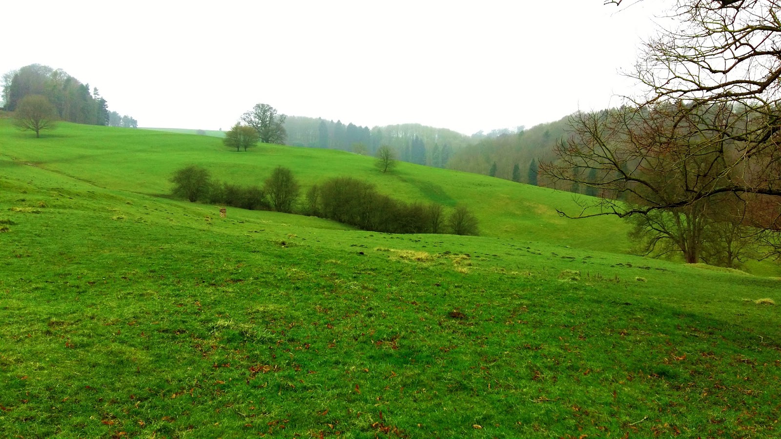 Cotswolds Travel: A Foggy Spring Round Miserden and Caudle Green