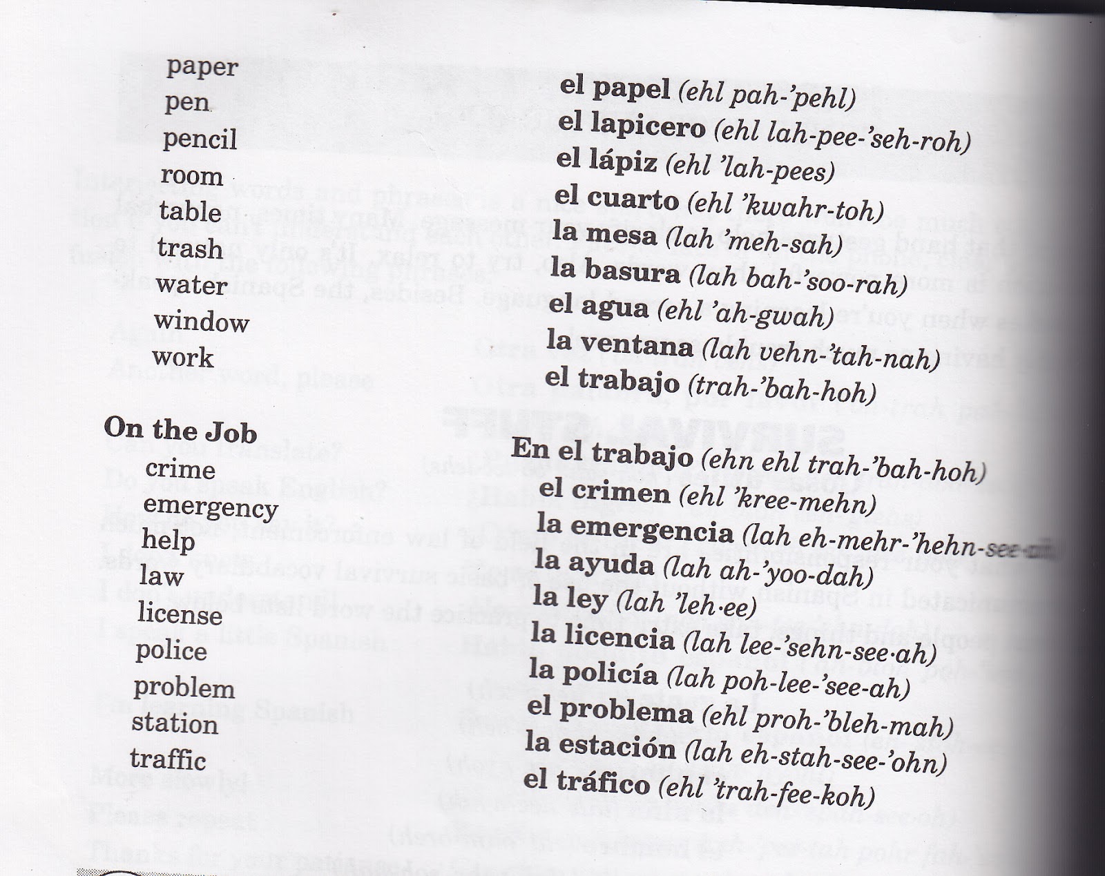 Español como lengua extranjera/ Spanish as a foreign Language: SURVIVAL ...