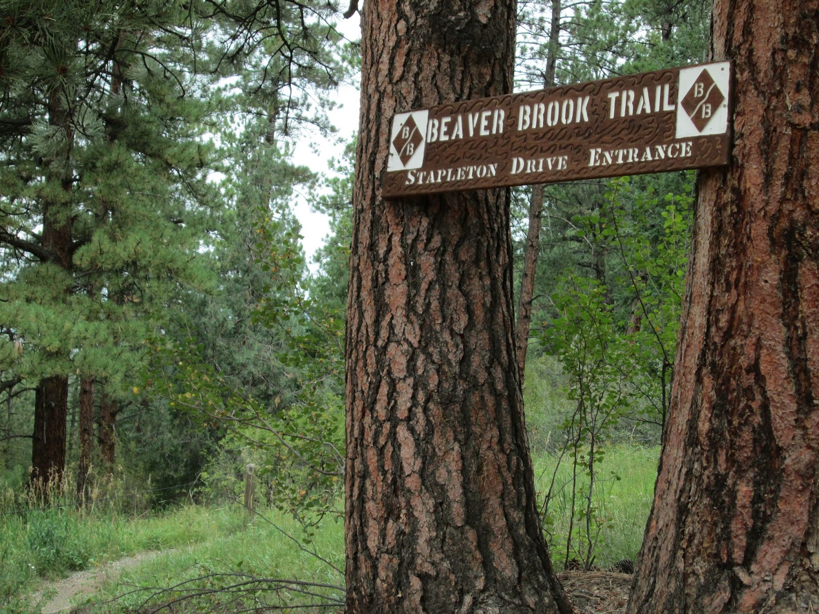 Day Hike Colorado: Chavez/Beaver Brook