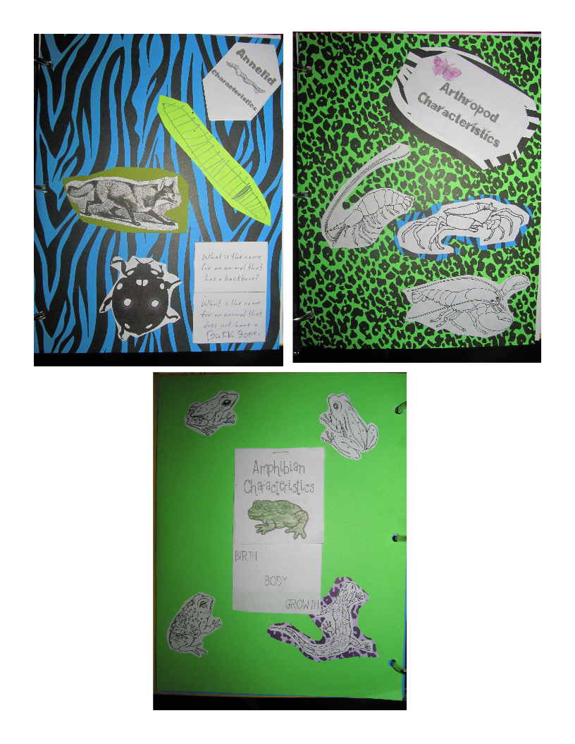 Loving Life Lapbooks