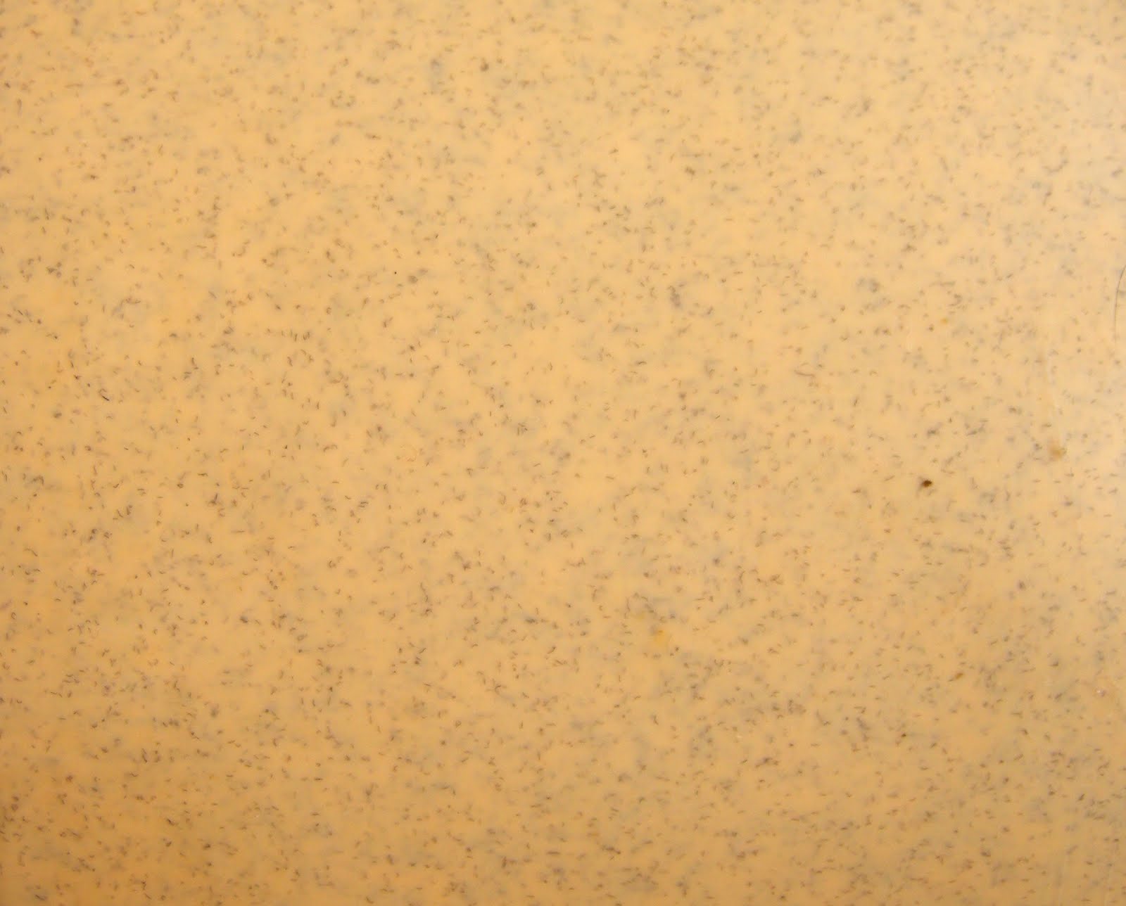 A1 Free Texture and Photos: Free Plastic Texture Photos High Resolution