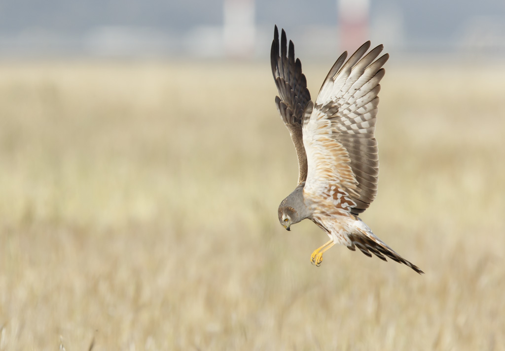 Nikos Fokas Photopraphy Blog