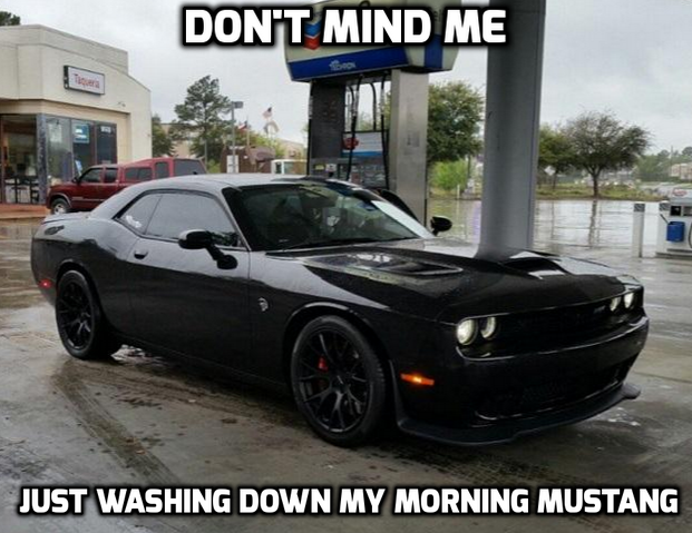 Just A Car Guy: Hell cat humor