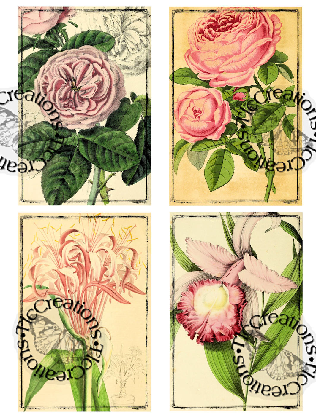 Create with TLC: Perfectly Pink Posies....