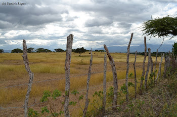 Ningún lugar está lejos... en RD: El Mogote, una loma subestimada