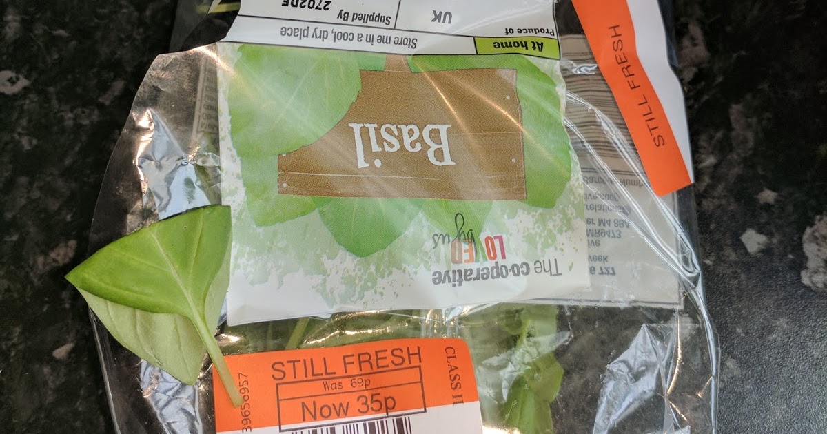 A Possible World: Resurrecting Basil