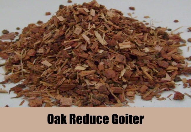 6 SIMPLE HERBAL REMEDIES FOR GOITER ~ Mzizi Mkavu