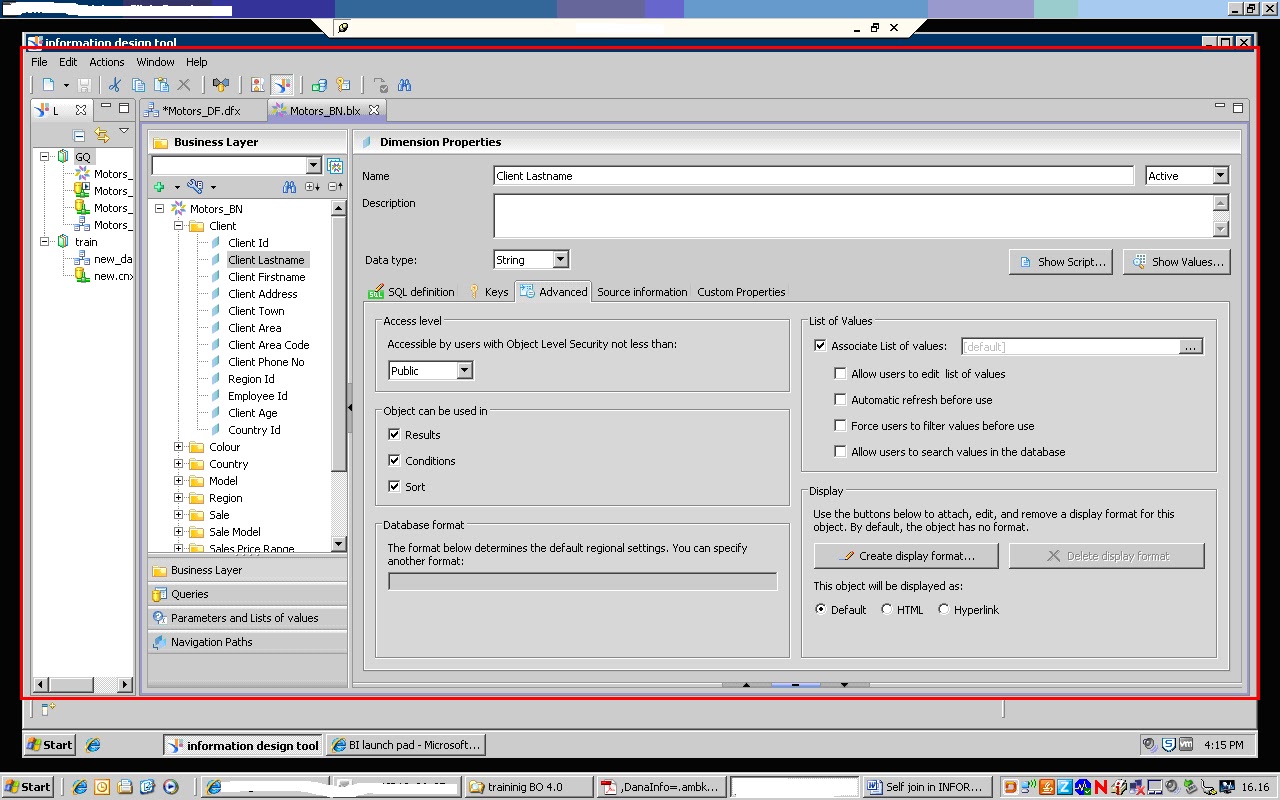 Business Intelligence with SAP Business Objects: Business Intelligence ...