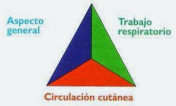 Soporte Vital: Valoración Inicial Pediátrica: Triangulo de Evaluación Pediátrica.
