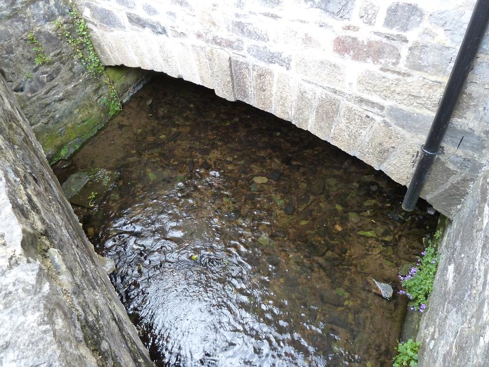 The Faery Folklorist: Cutty Dyer, Ashburton