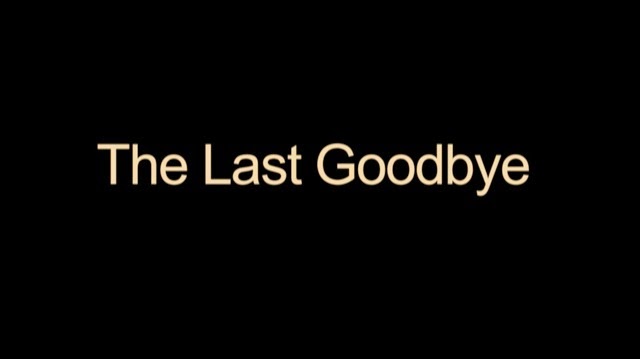 The Last Goodbye