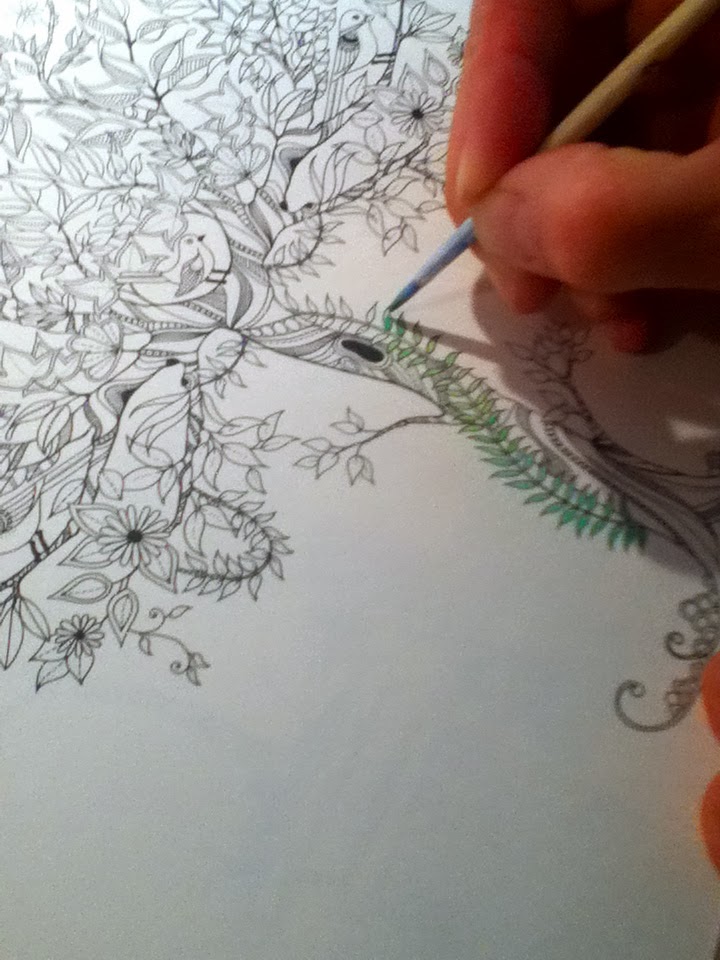 deecreated: Little details