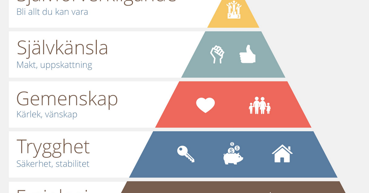 Minimalistspararen: Behov