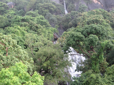 Love to Travel: Keerippara- Maramalai- Olakka Aruvi